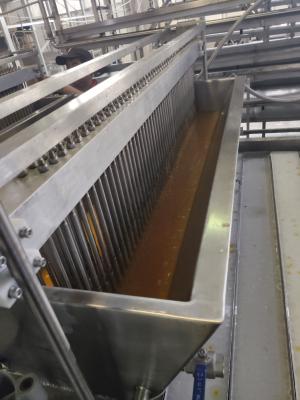 China Automatische Popping-Boba-Machmaschine, mit gefülltem Fruchtsaft zu verkaufen