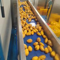 China PLC Control With Touch Screen Mango Pulp Processing System Featuring Automatic Manual Operation Suitable For Industrial for sale