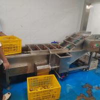 China PLC Control With Touch Screen Mango Processing Line Advanced Mango Washing Peeling Cutting And Packaging Production Line for sale