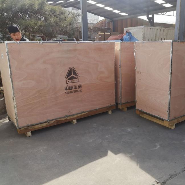 Sinotruk Diesel Engine Supplier for High Performance HOWO Trucks