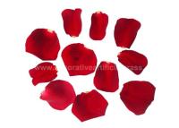 China Dried Red Rose Petals For DIY Projects Biodegradable Confetti for sale