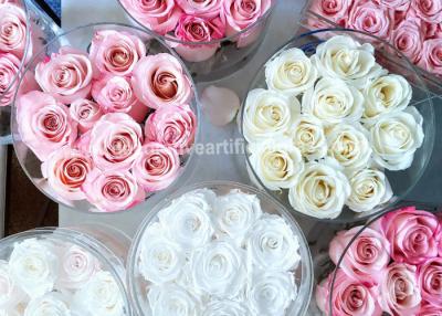 Cina 3 pollici di rose false Stemless realistiche Stemless dei fiori per Valentine Weddings Decor in vendita
