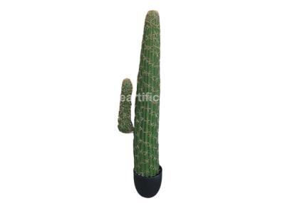 Cina Del PE del Faux ODM dell'OEM di plastica ecologico della pianta del cactus di falsificazione della pianta mai in vendita