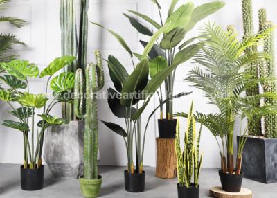 Cina piante d'appartamento del pavimento di 50*50cm delle piante del PE di verde di plastica conservato in vaso artificiale del Faux in vendita