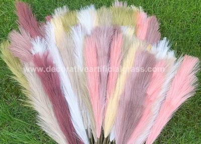 Cina 60cm hanno conservato la decorazione domestica Pampa secca naturale dei fiori freschi in vendita