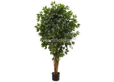 Cina 5 piedi delle piante artificiali della decorazione di albero di seta falso sempreverde di ficus con la base di plastica in vendita