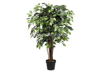 Cina 5 piedi delle piante artificiali della decorazione di albero di seta falso sempreverde di ficus con la base di plastica in vendita