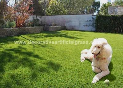 Cina Nessun'erba artificiale falsa sbiadentesi di morbidezza non tossica senza piombo per gli animali domestici in vendita