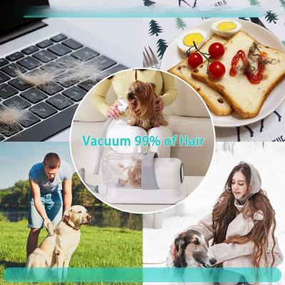 中国 持続可能 ペット メンテージ キット 掃除機 犬 猫 マスコット ペット 脱毛 ブラシ 販売のため