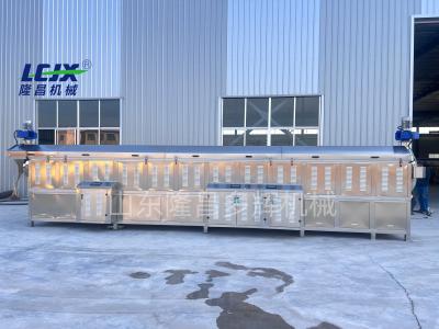 China Food Grade Continuous Roasting Machine Stainless Steel Nut Coffee Roaster 380v for sale