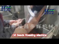 industrial auto control oil seeds roasting equipment sunflower seed roaster food grade