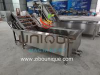 China Vegetable Washing Machine for Fruit and Vegetable Chilli Bubble Flood Processing Line for sale