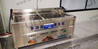 China Kitchen Equipment Fruit and Vegetable Bubble Washing Sink Machine 220v/380v/Customized for sale