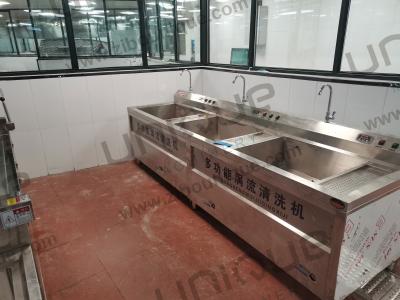 China Kitchen Equipment Fruit and Vegetable Bubble Washing Sink Machine 220v/380v/Customized for sale