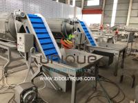 China 380V Good Effect Washing Peeling Vegetables Machine for Large Scale Vegetable Processing for sale