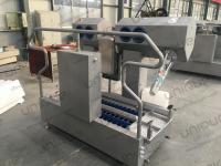 China Automatic Walk Through Boot Cleaning Station For Low Shoe Immersion Cleaning Type for sale