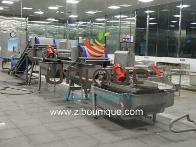 China 2021 Style Vegetable Fruit Helix Washing Processing Line for Commercial Applications for sale