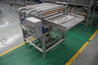 China 220v/ 380v Automatic Dates Palm Sorting Washing And Drying Processing Machine for sale