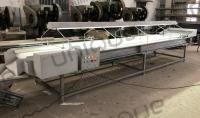 China 220v/ 380v Automatic Dates Palm Sorting Washing And Drying Processing Machine for sale