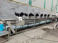 China 220v/ 380v Automatic Dates Palm Sorting Washing And Drying Processing Machine for sale