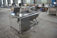 China 220v/ 380v / Customized Voltage Multi Function Commercial Tilting Salad Vegetable Washer for sale