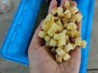 China Year Potato Dicing Machine Industrial Vegetable Cutting Machine with Customized Voltage for sale