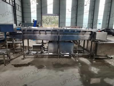 Cina Lavatrice ad alta pressione a spruzzatura a tensione personalizzabile per frutta e verdura in vendita