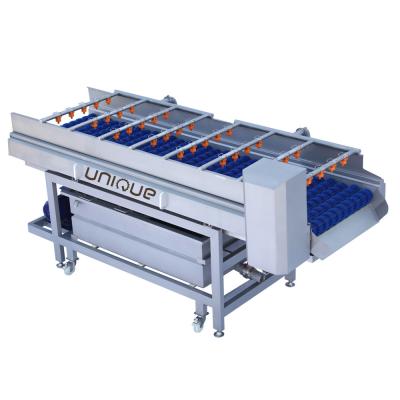 China Groenten Wortel Aardappel Gember Borstel Roller Wasmachine voor wassen en schoonmaken Te koop