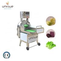 China Professional Salad Leaf and Herbs Cutting Machine for Versatile Vegetable Cutting for sale