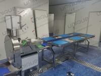 China Professional Salad Leaf and Herbs Cutting Machine for Versatile Vegetable Cutting for sale