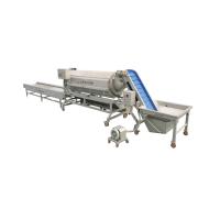 China 380V Good Effect Washing Peeling Vegetables Machine for Large Scale Vegetable Processing for sale