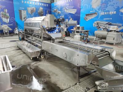 China 21000mmn Potato Peeling Machine The Ultimate Solution for Potato Washing and Peeling for sale
