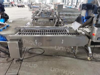 China 21000mmn Potato Peeling Machine The Ultimate Solution for Potato Washing and Peeling for sale