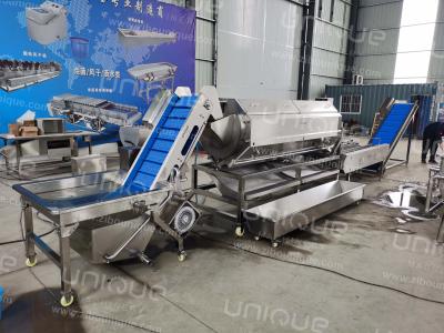 China 21000mmn Potato Peeling Machine The Ultimate Solution for Potato Washing and Peeling for sale