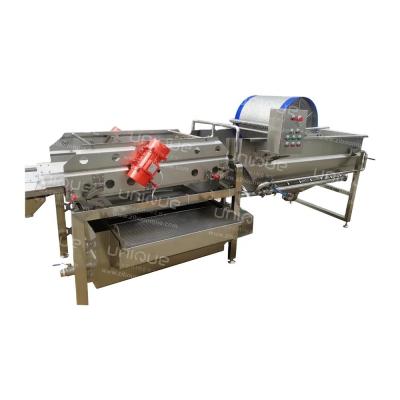 中国 高容量 2000kg/h 野菜の切断 カブス レタス 洗濯加工ラインの機械 販売のため