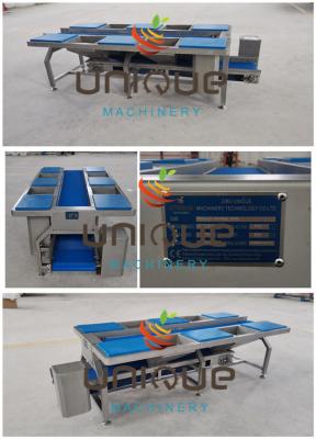 Cina Tavola e trasportatori per la selezione dei vegetali in acciaio inossidabile Tavola di preparazione dei vegetali 0,74 kW in vendita