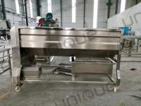 China Commercial Usage Automatic Palm Dates Brush Cleaning Machine with Soft Brush Cleaner for sale