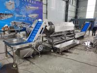 China Potato Washing Machine Peeling Machine for Root Vegetables Stainless Steel 304 Function for sale