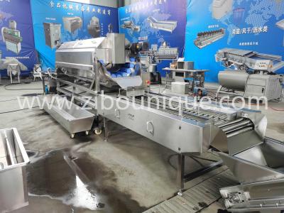 China Transportador de seleção de vegetais pesados ajustável para as necessidades de inspeção de batatas à venda
