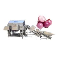 China 2023 Year Automatic Onion Skin Peeling Machine Perfect Solution for Onion Processing for sale