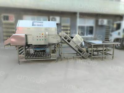 Cina 2023 Anno Automatica Peeling Peel Machine Perfetta soluzione per la lavorazione delle cipolle in vendita
