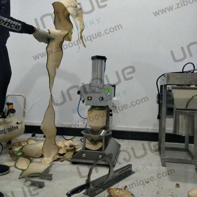 Cina Macchina di lavorazione del cocco per pelare in modo efficiente una varietà di verdure di radice in vendita