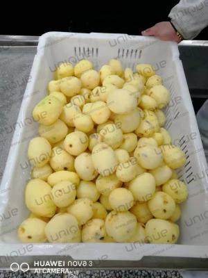 Cina Macchina di lavaggio e sbucciatura di patate a tensione personalizzata per le industrie alimentari in vendita