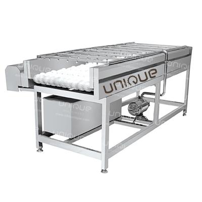 China Mango Brush Cleaning Machine for Pear Apple Carrot Mud Cleaning 3000*1250*1350 mm for sale