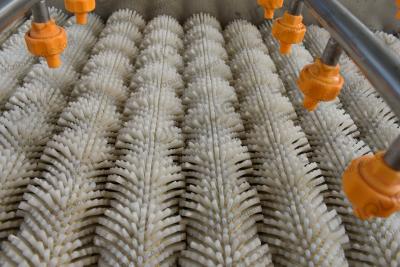 China Mango Brush Cleaning Machine for Pear Apple Carrot Mud Cleaning 3000*1250*1350 mm for sale