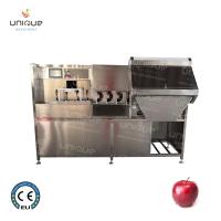China Industrial Automatic Persimmon Apple Peeling and Coring Machine for Food Processing for sale