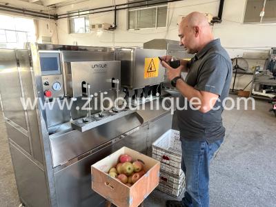 Cina Macchine automatiche industriali per l'elaborazione dei prodotti alimentari in vendita