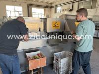 China Industrial Automatic Persimmon Apple Peeling and Coring Machine for Food Processing for sale