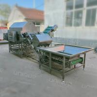 China Automatic Onion Processing Line with Food Beverage Onion Peeling and Cutting Machine for sale