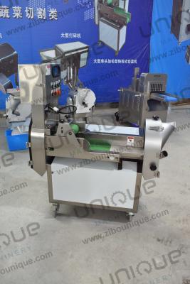 Cina Macchina per tagliare frutta e verdura a foglia altamente versatile con 220v/voltaggio personalizzato in vendita